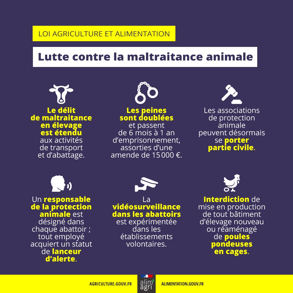 La lutte contre la maltraitance animale est une priorité du ...